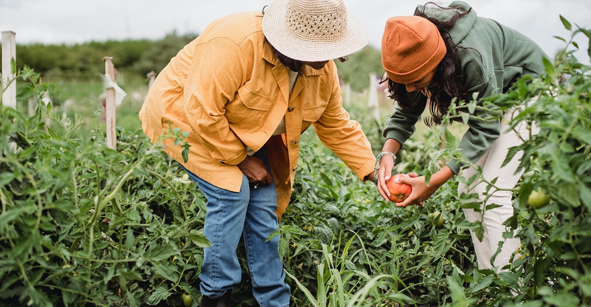 How Suffolk Mind uses HG to improve mental health across their county ...